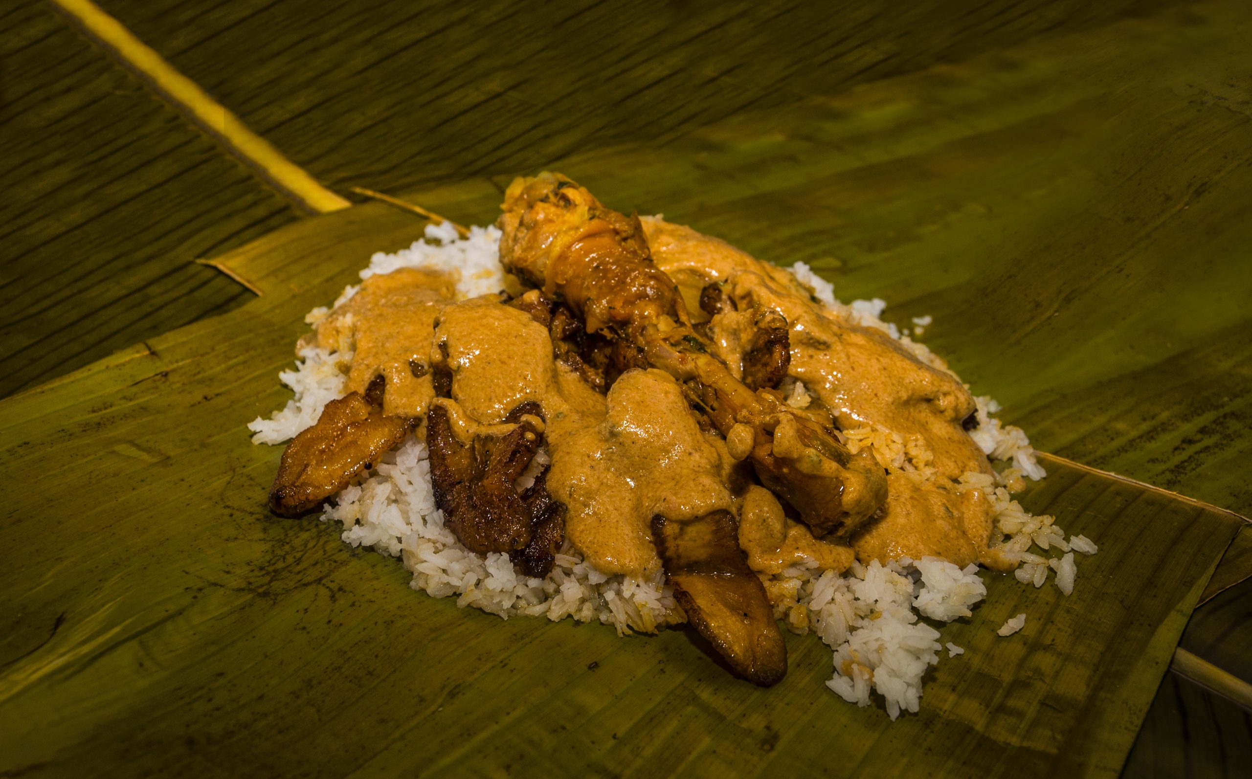 En Rocafuerte Festival de la Tonga más Grande del Mundo - Gobierno de ...